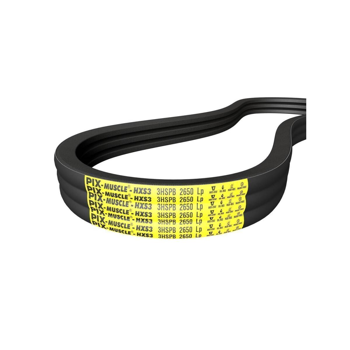 PIX MUSCLE®-HXS3 5-SPB 3000 - Kraftband | keilriemen24, 490,05